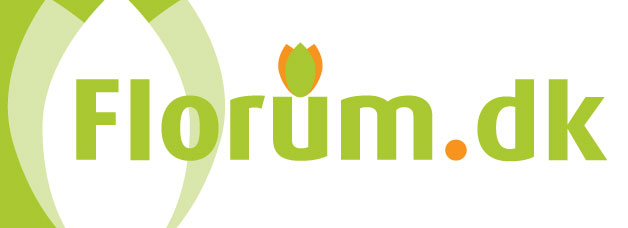 Forside - Florum.dk